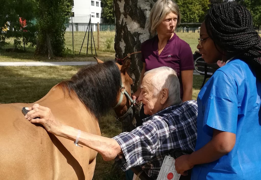 L'équithérapie est de retour à Sainte-Marie - Vivre & Devenir