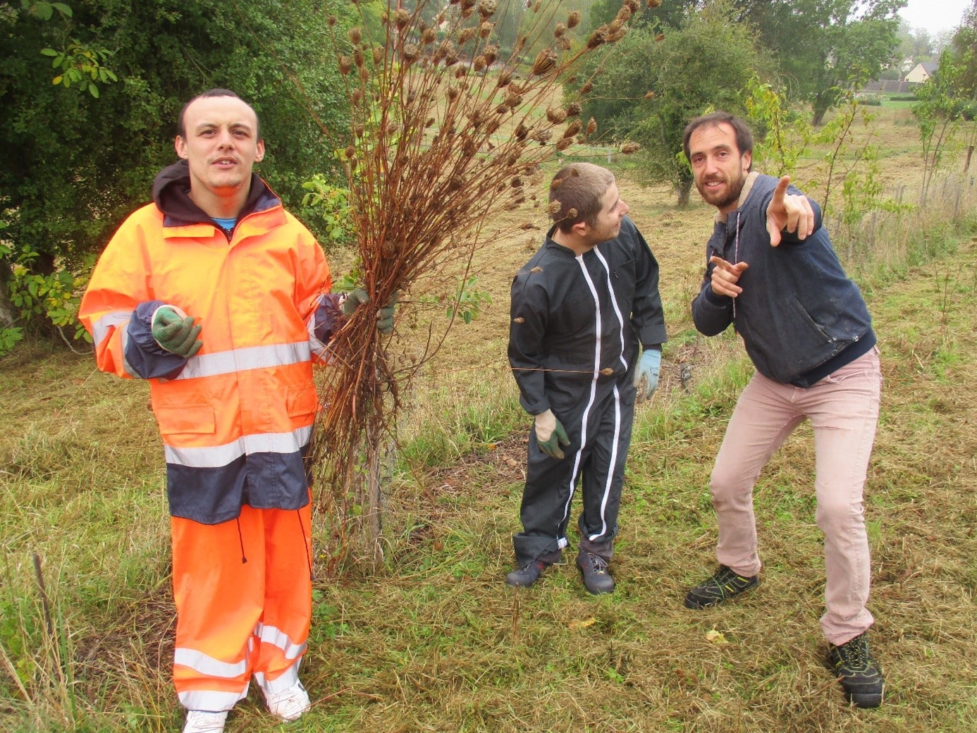 Le verger partagé : un partenariat inclusif au Dispositif du Perche ...